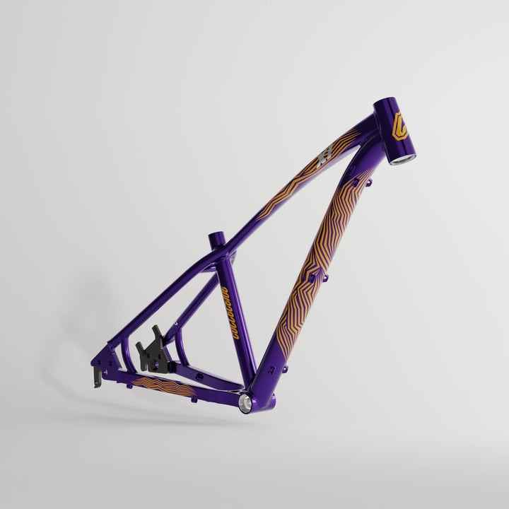 X1 MARCO – Collective